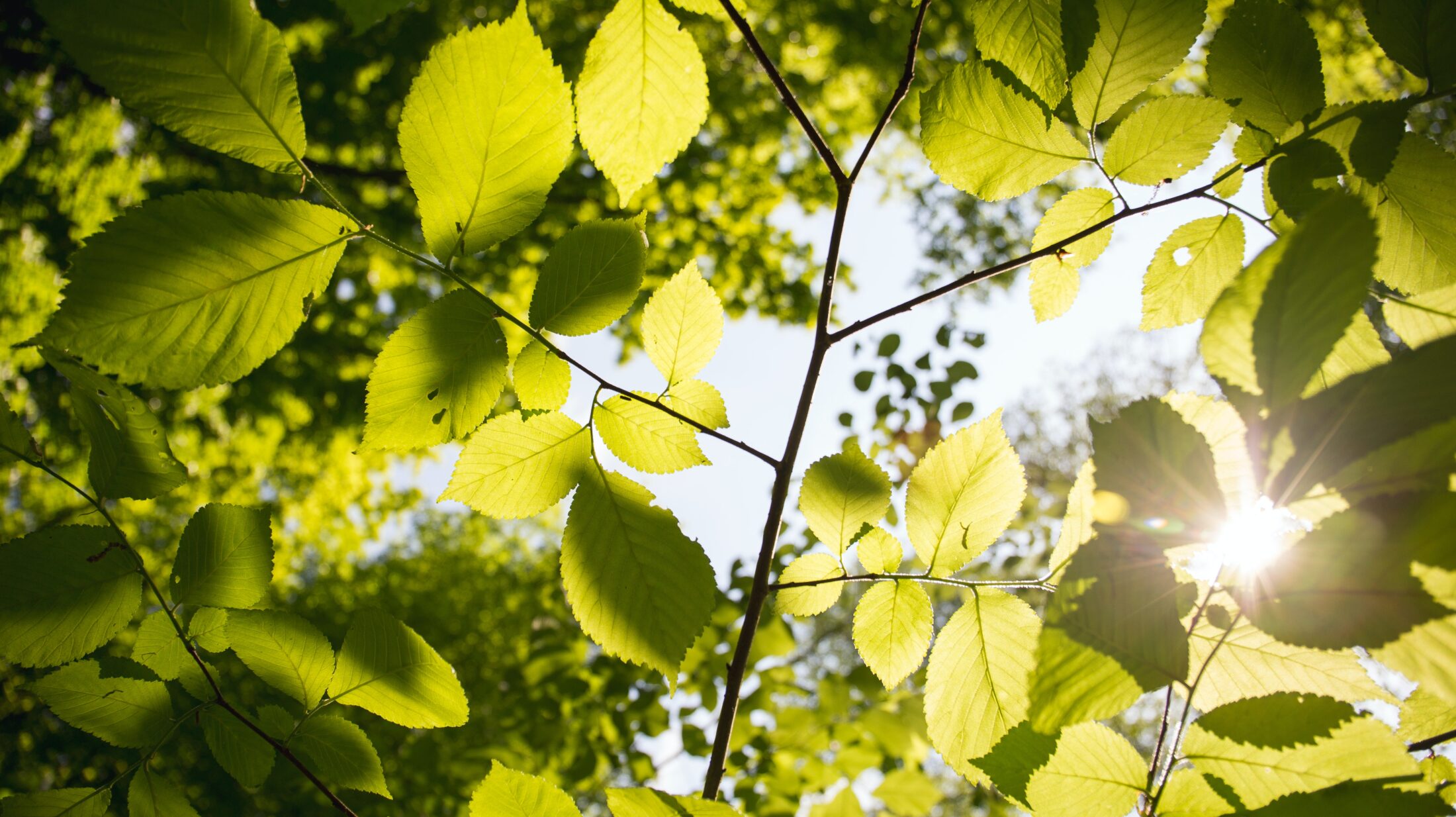 The Second Half of the Year Brings New State Privacy Obligations – Are ...