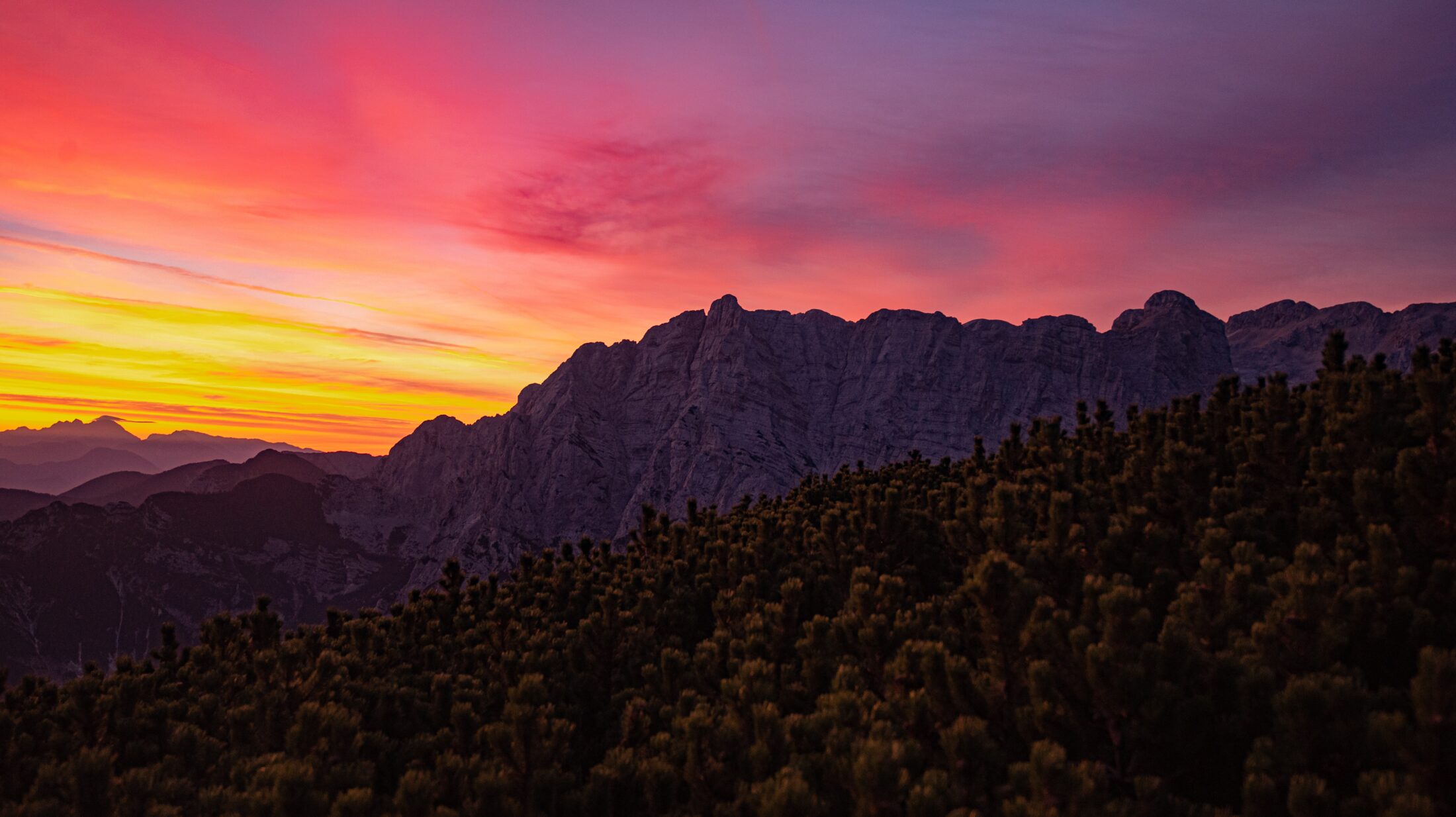 Italian OpenAI – May (A)I? | Privacy World