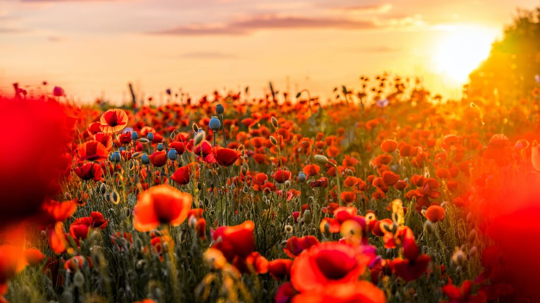 FCC Clarifies and Codifies TCPA Consent Revocation Rules | Privacy World