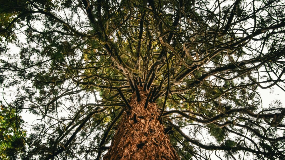 New California Privacy Regulations Passed by Board | Privacy World